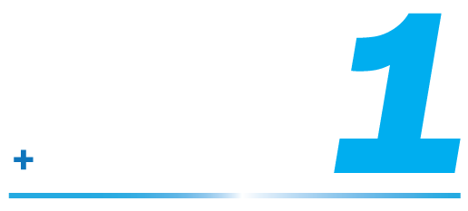 Guía – Net1